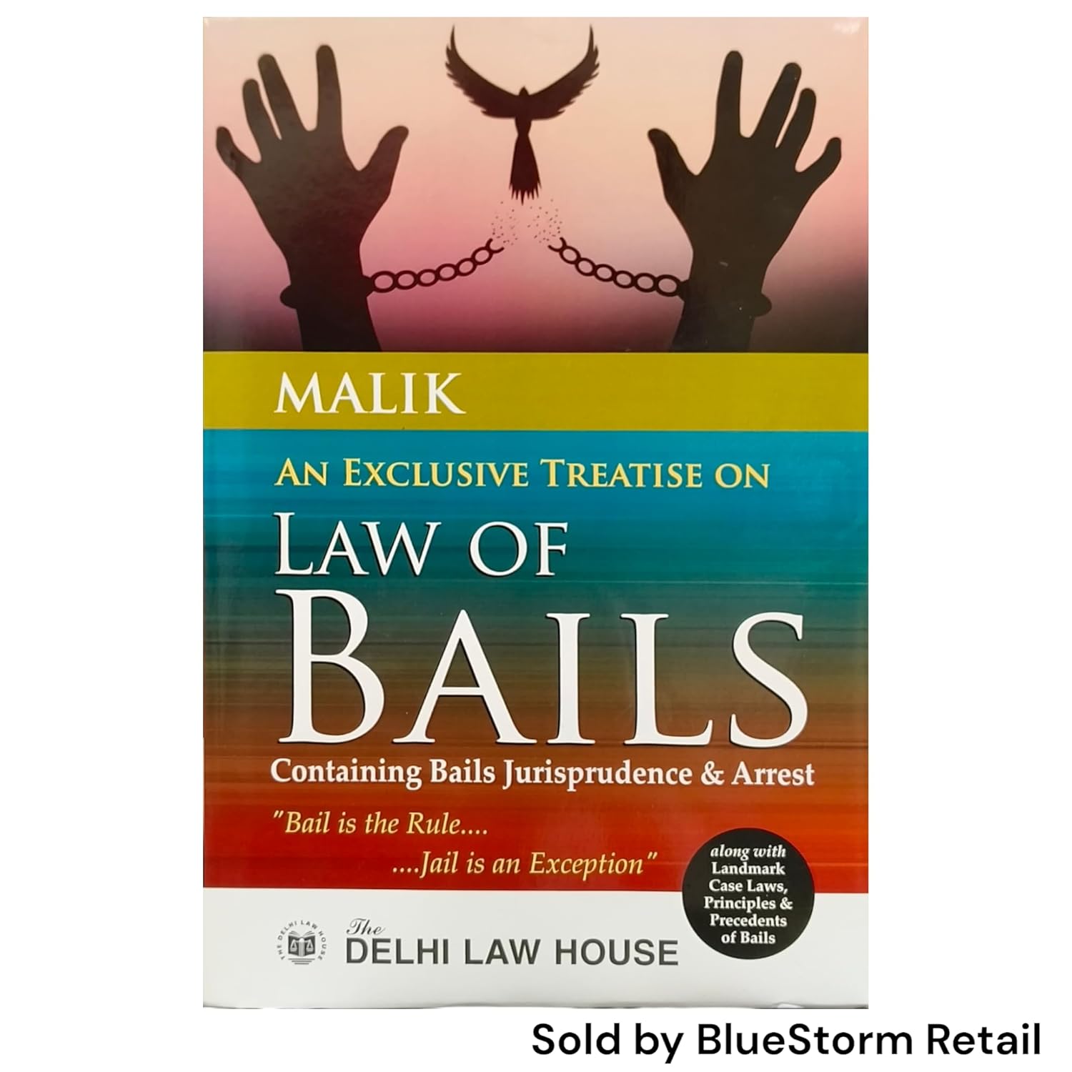 Understanding the Legal Difference Between Regular Bail and ...