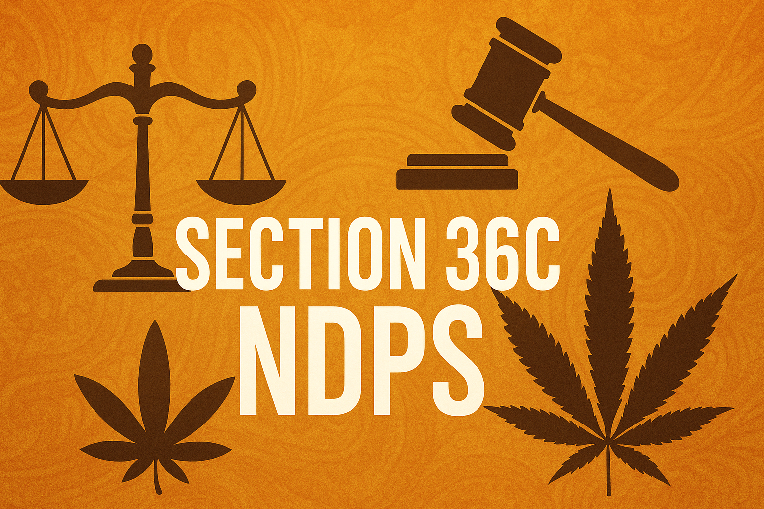 Section 36C NDPS: Understanding the Application of the Criminal ...