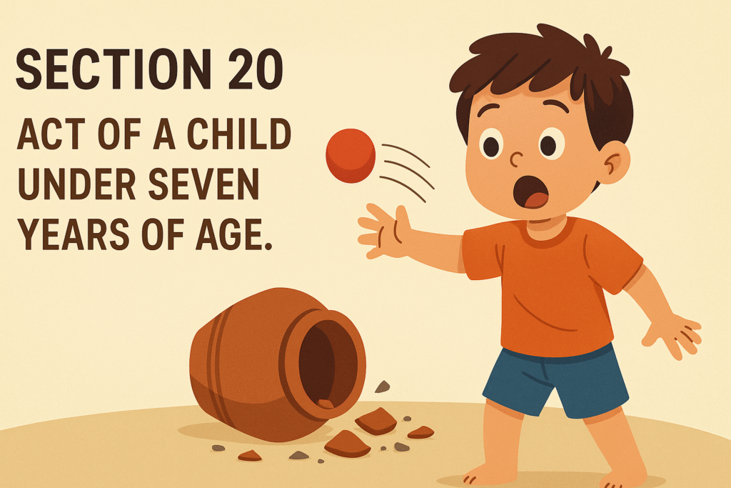 Understanding Section 20 of the Bharatiya Nyaya Sanhita (BNS): The ...